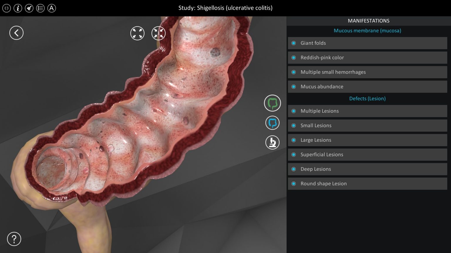 Interactive 3D educational simulations and exercises | ROQED