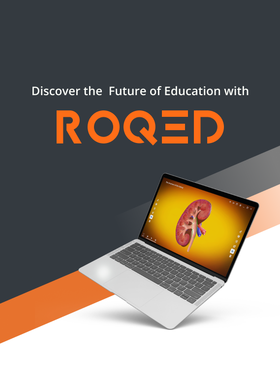 bett24 | ROQED